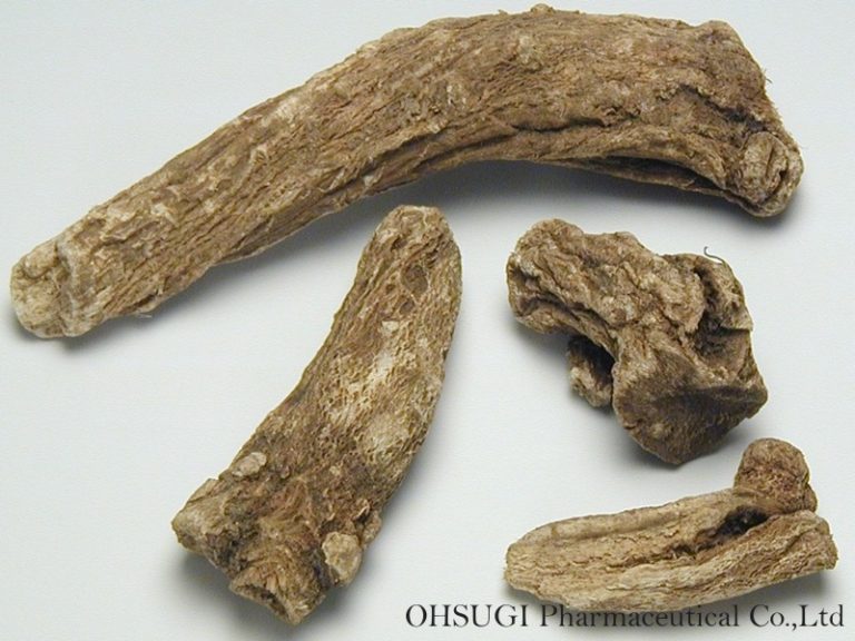 Mokkou | 大杉製薬株式会社